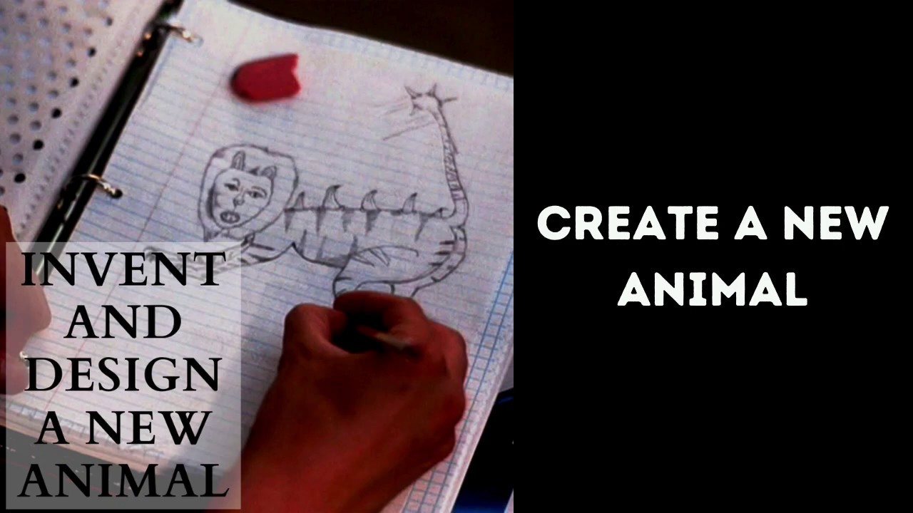 Create a New Animal! - YouTube