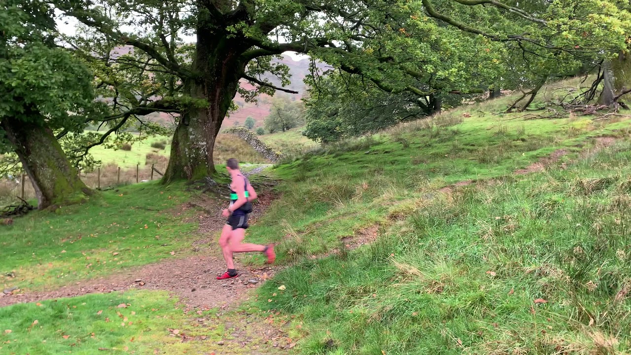 HBMR 2019 2nd - YouTube