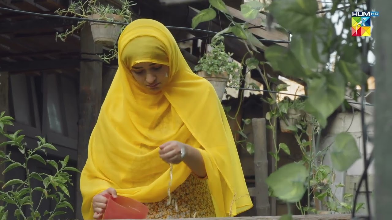 Bakhtawar - Episode 05 - Best Moment 08 - HUM TV Drama - YouTube