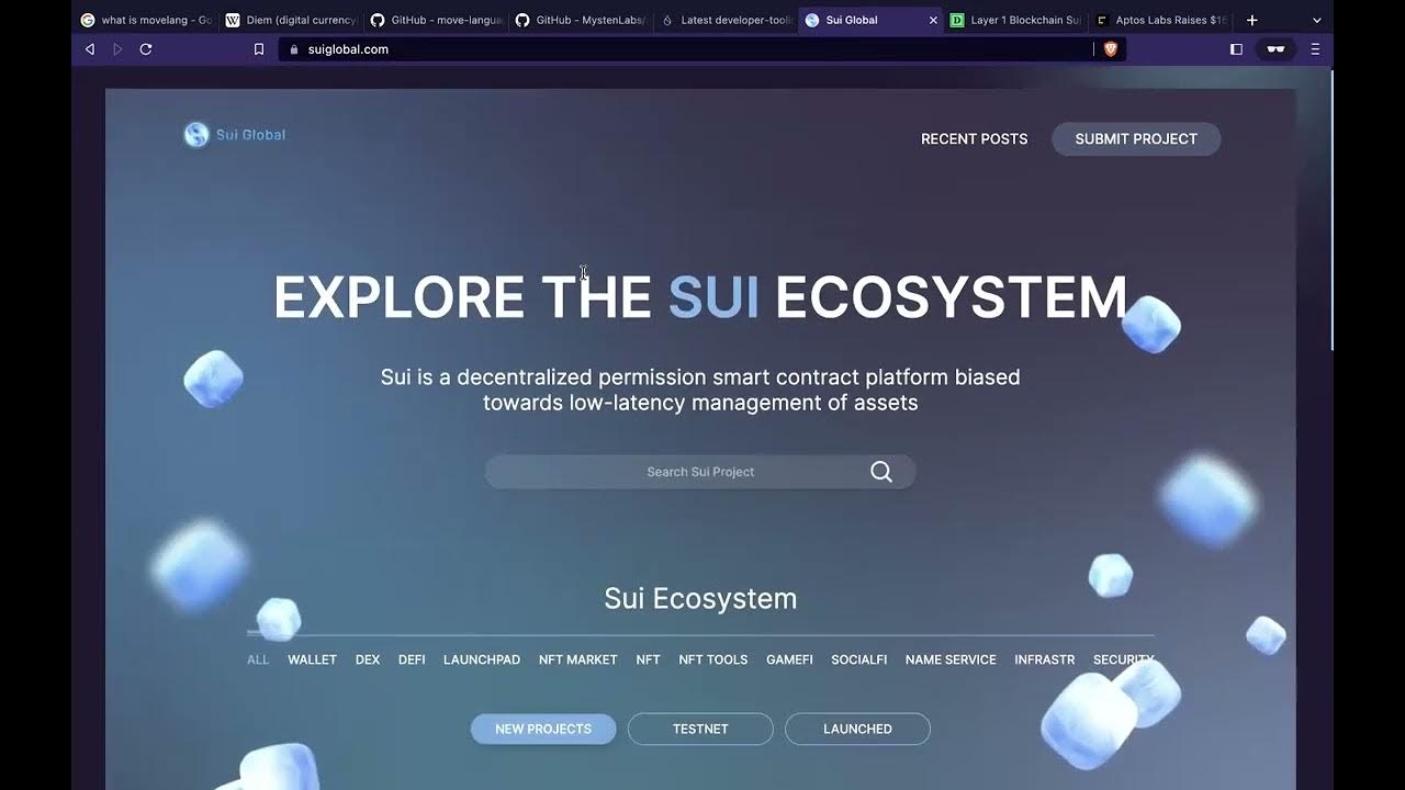 Sui Ecosystem Aggregators: Looking for Who's Building on Sui - YouTube