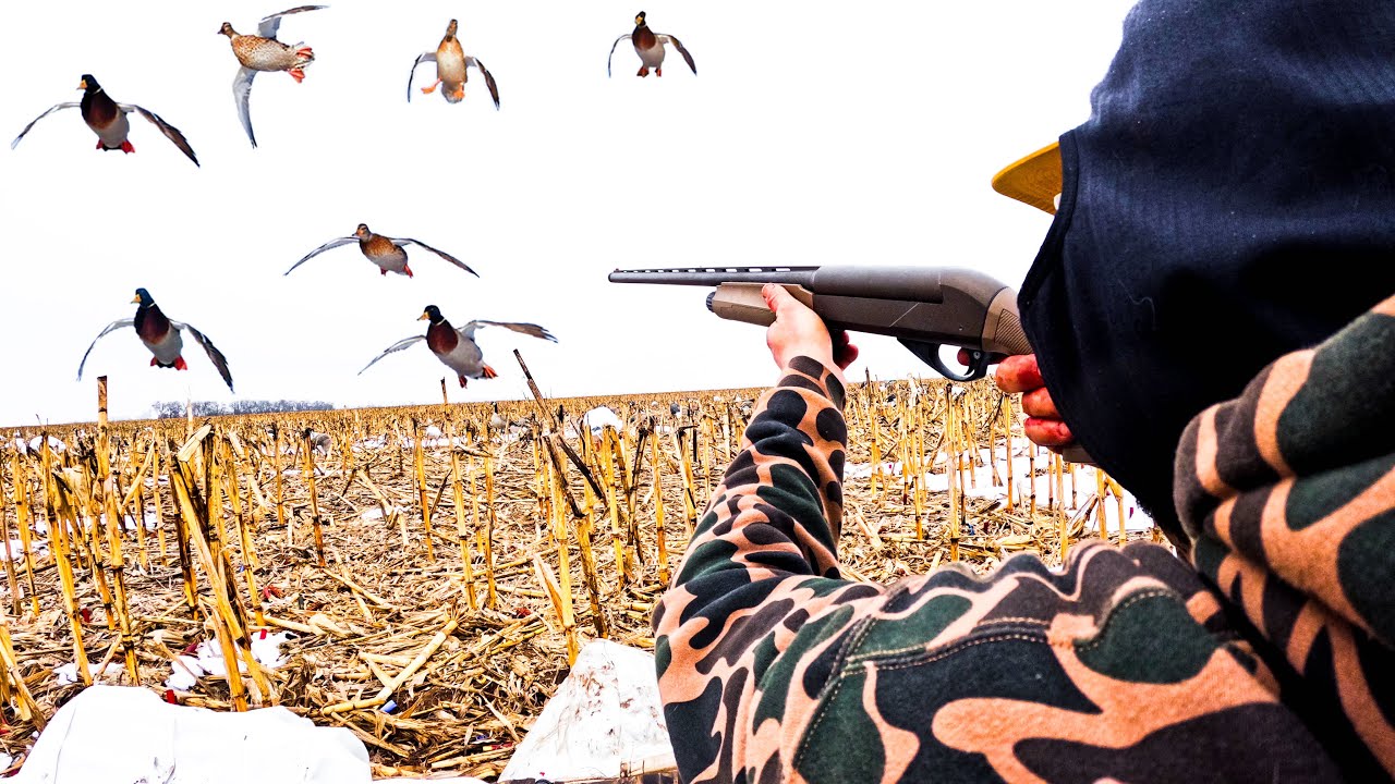 SNOWY KANSAS FIELD DUCK HUNT! (Late Season) - YouTube
