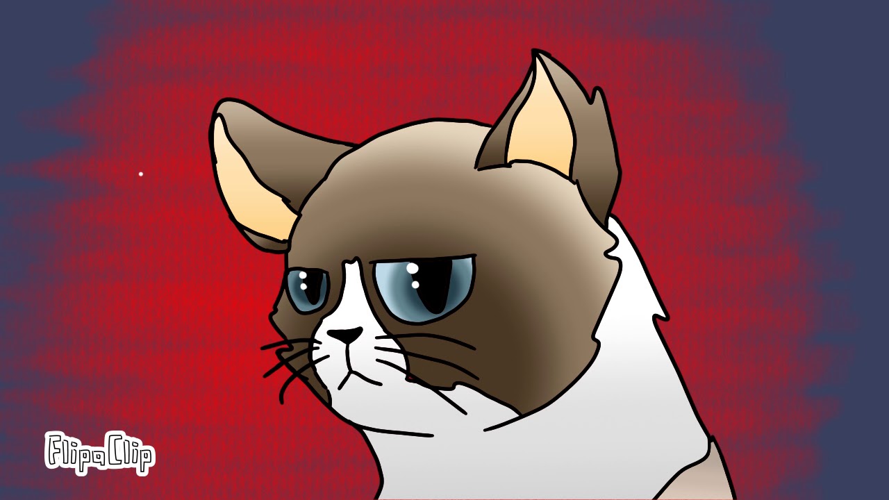For grumpy christmas cat girl - YouTube
