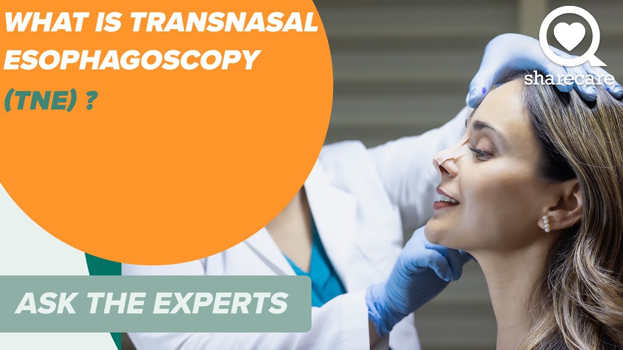 What Is Transnasal Esophagoscopy (TNE)? | Ask the Experts | Sharecare ...