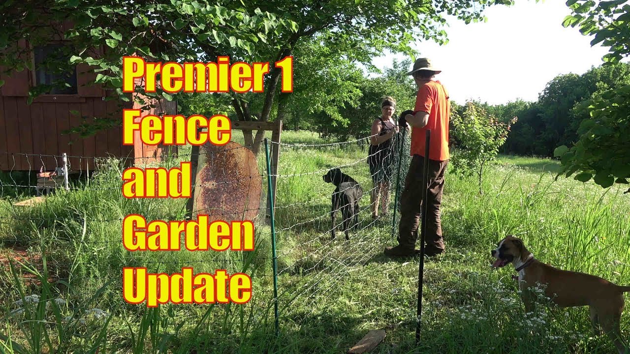 Premier 1 Poultry Fence, Garden Update - YouTube