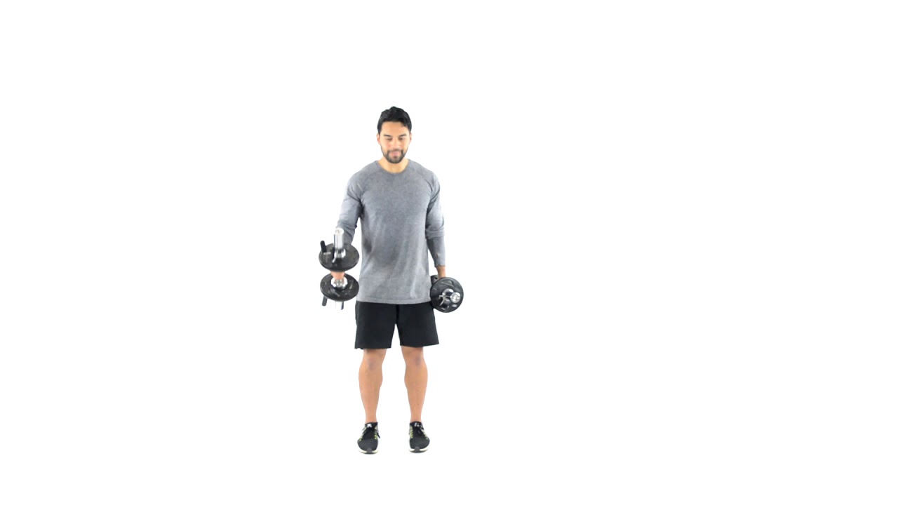 Alternating Dumbbell Hammer Curl - YouTube