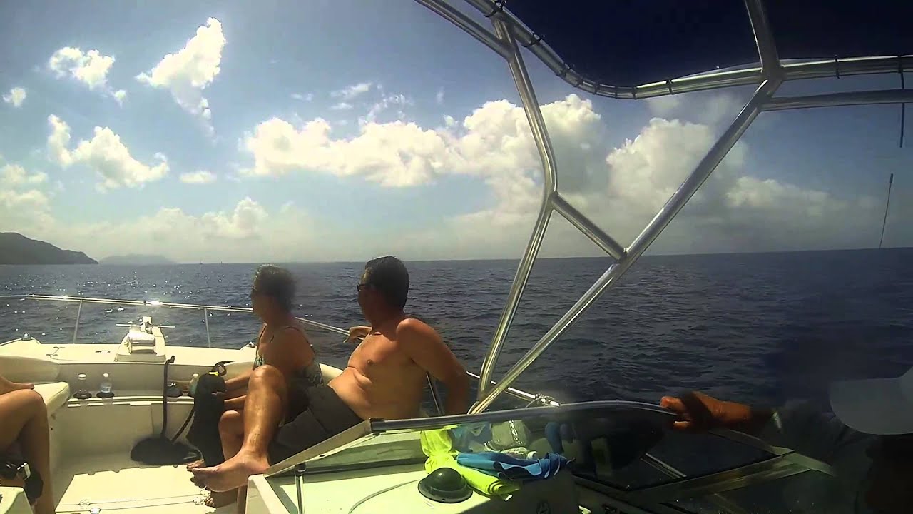 Palm Tree Charters - YouTube