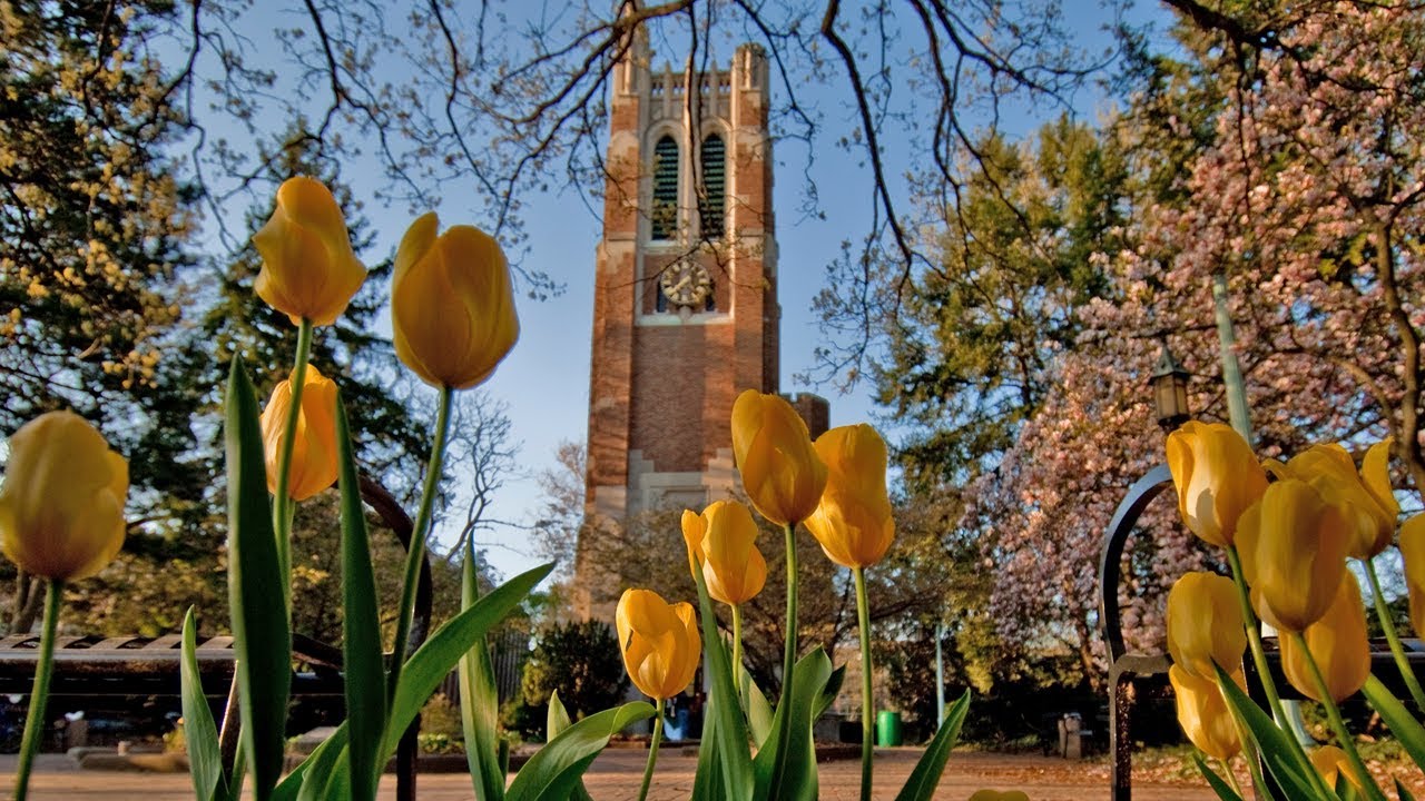 Michigan State University College of Law - The Campus Experience - YouTube