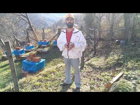 ARICILARIMIZIN DURUMU 01.01.2021 #arı #arıcılık #bal #bee #queenbee #honey