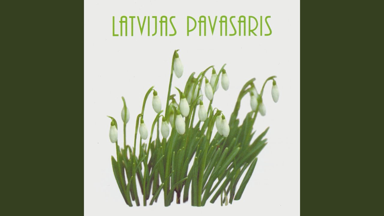 Saules Ritmi - YouTube