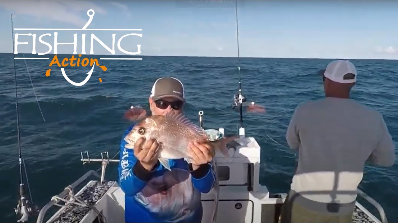 Snapper Fishing | Mid North Coast NSW | Float Lining Tackle Talk Shimano Torium | Fishing Action ...
