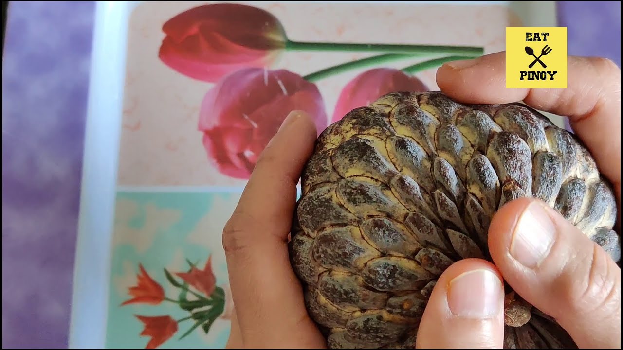 How To Open & Eat ATIS FRUIT (Filipino Custard Apple) - YouTube