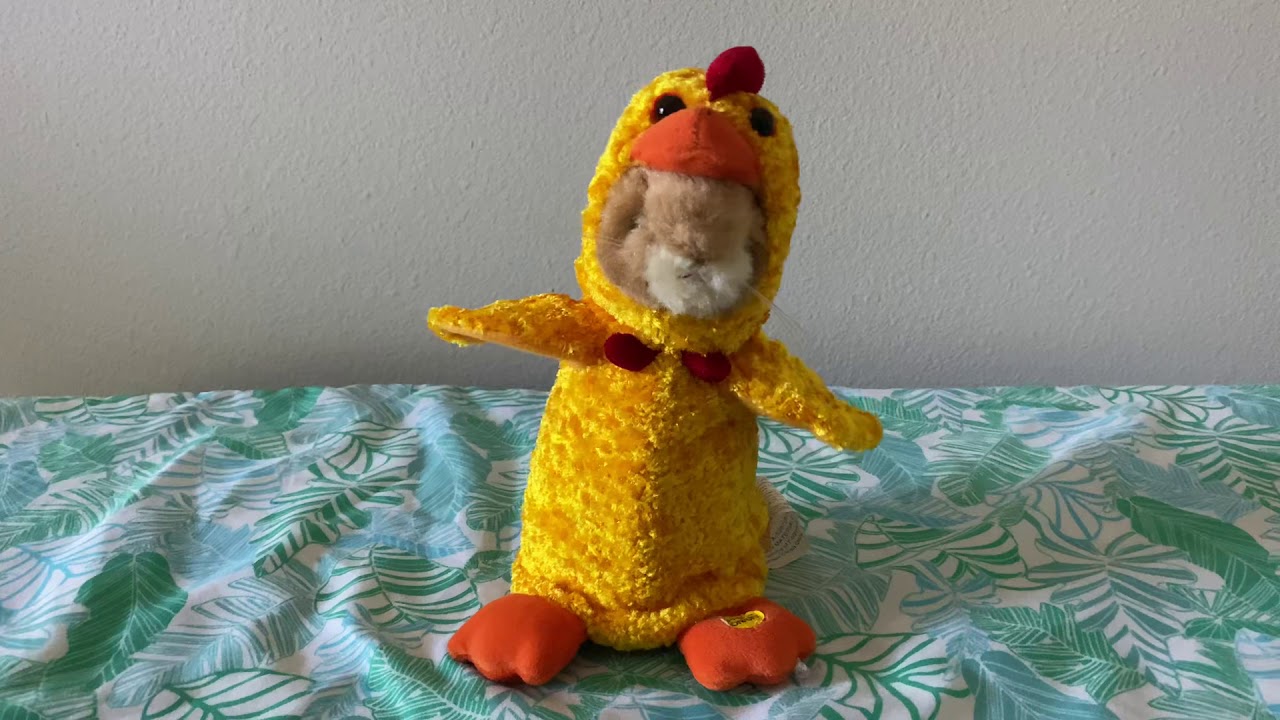 Gemmy - Dancing Hamster - Chick - Chicken Dance - YouTube