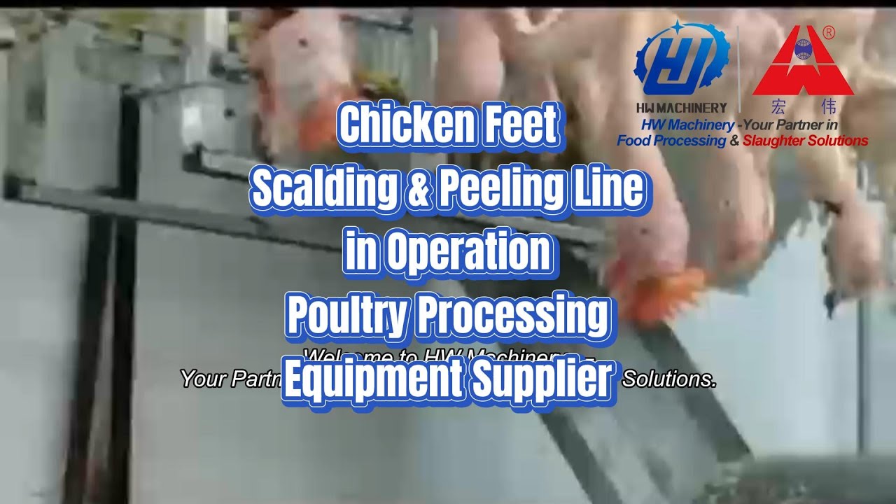 Chicken Feet Scalding & Peeling Line | Poultry Processing Equipment ...