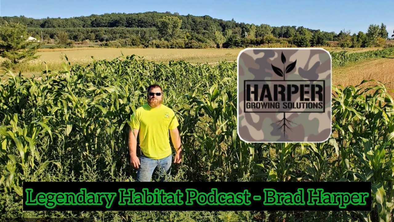 Legendary Habitat Podcast #18 Brad Harper - Harper Growing Solutions ...