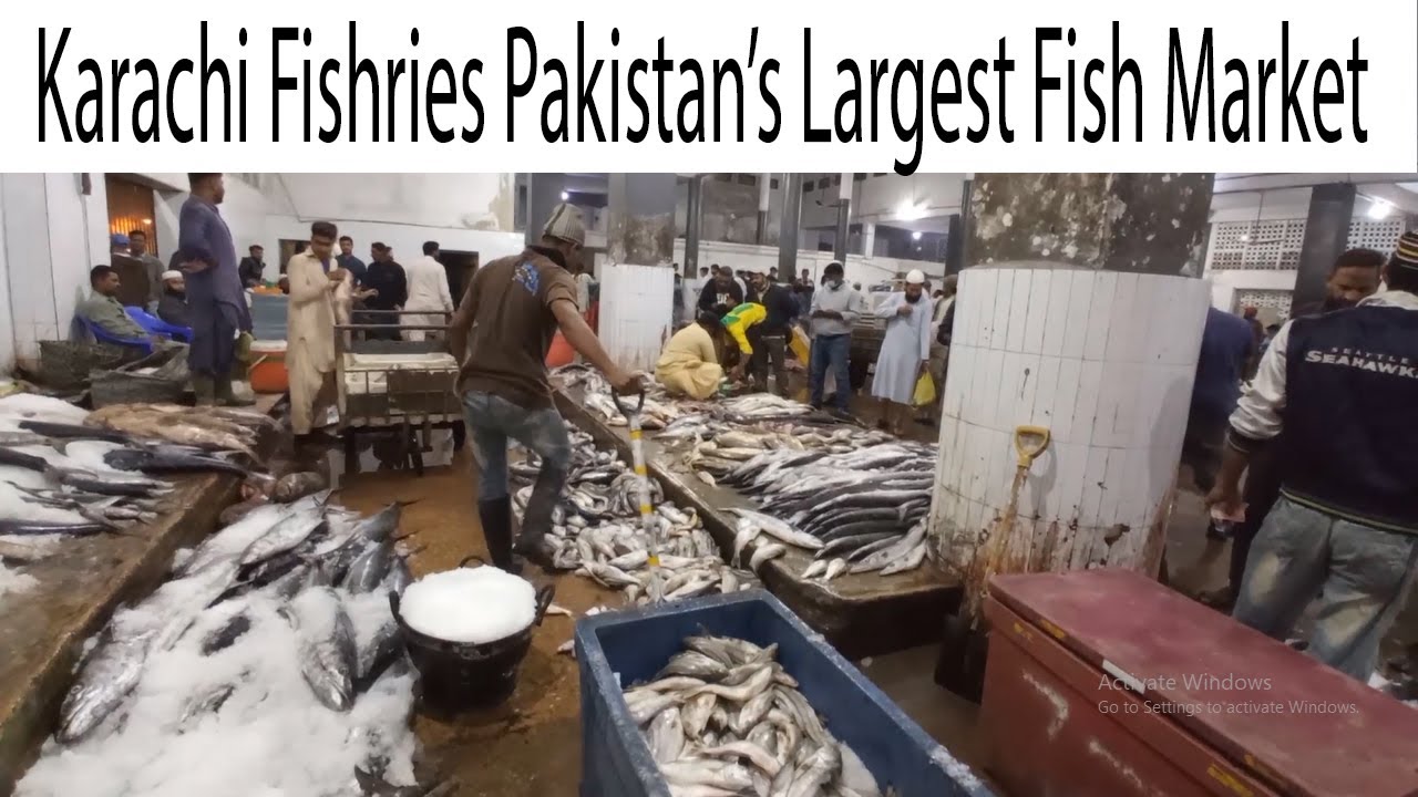 Karachi Fishery Largest Fish Market | Export Quality Fish & seafood ...