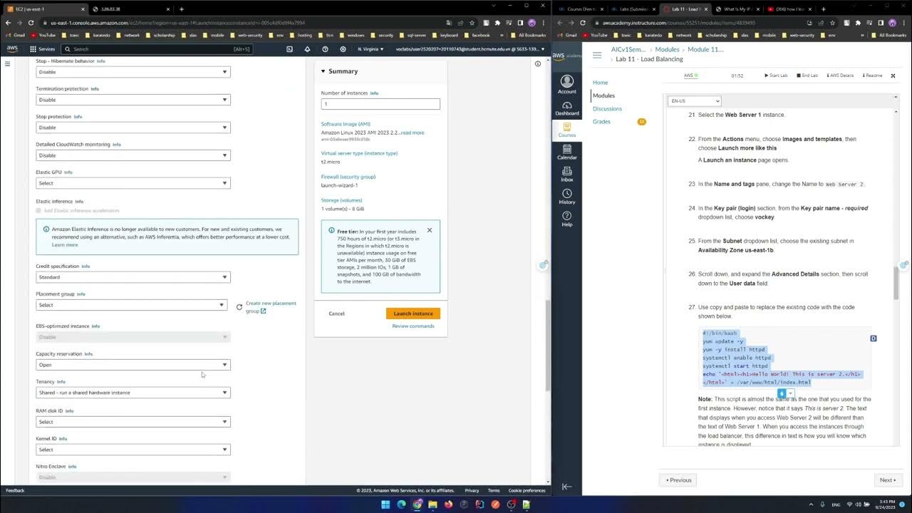Đỗ Dương Thái Tuấn - 20110743 - Module 11 Lab Using Load Balancers - YouTube