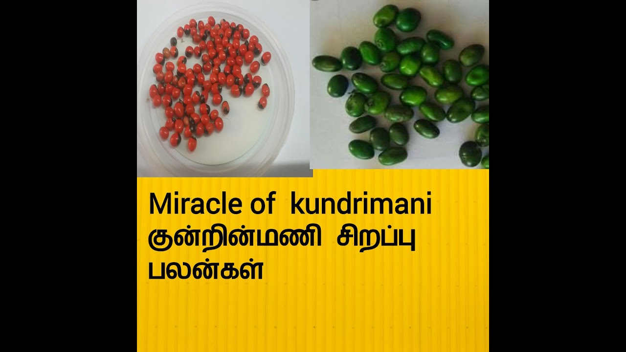 Kundrimani miracles /குன்றின்மணி சிறப்பு பலன்கள் - YouTube