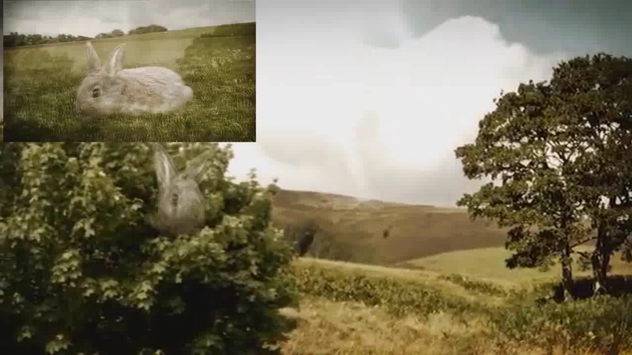 Crazy Rabbit Sparta Venom Remix - YouTube