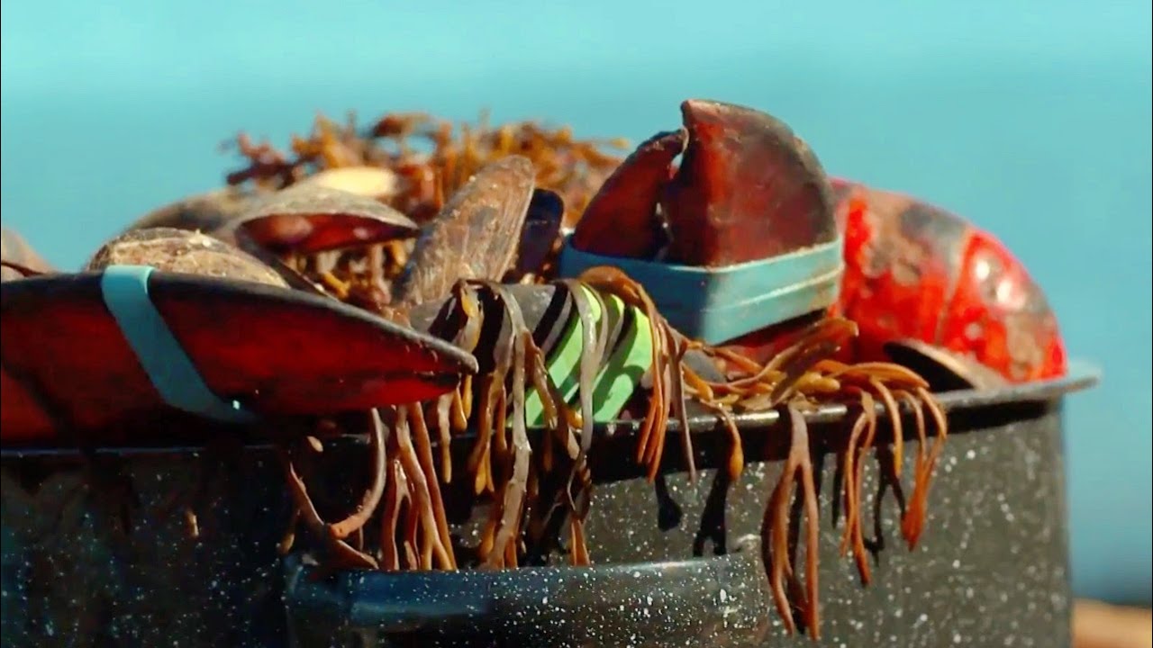 How to Have an Authentic Beach Clambake -- "Weekends with Yankee" - YouTube