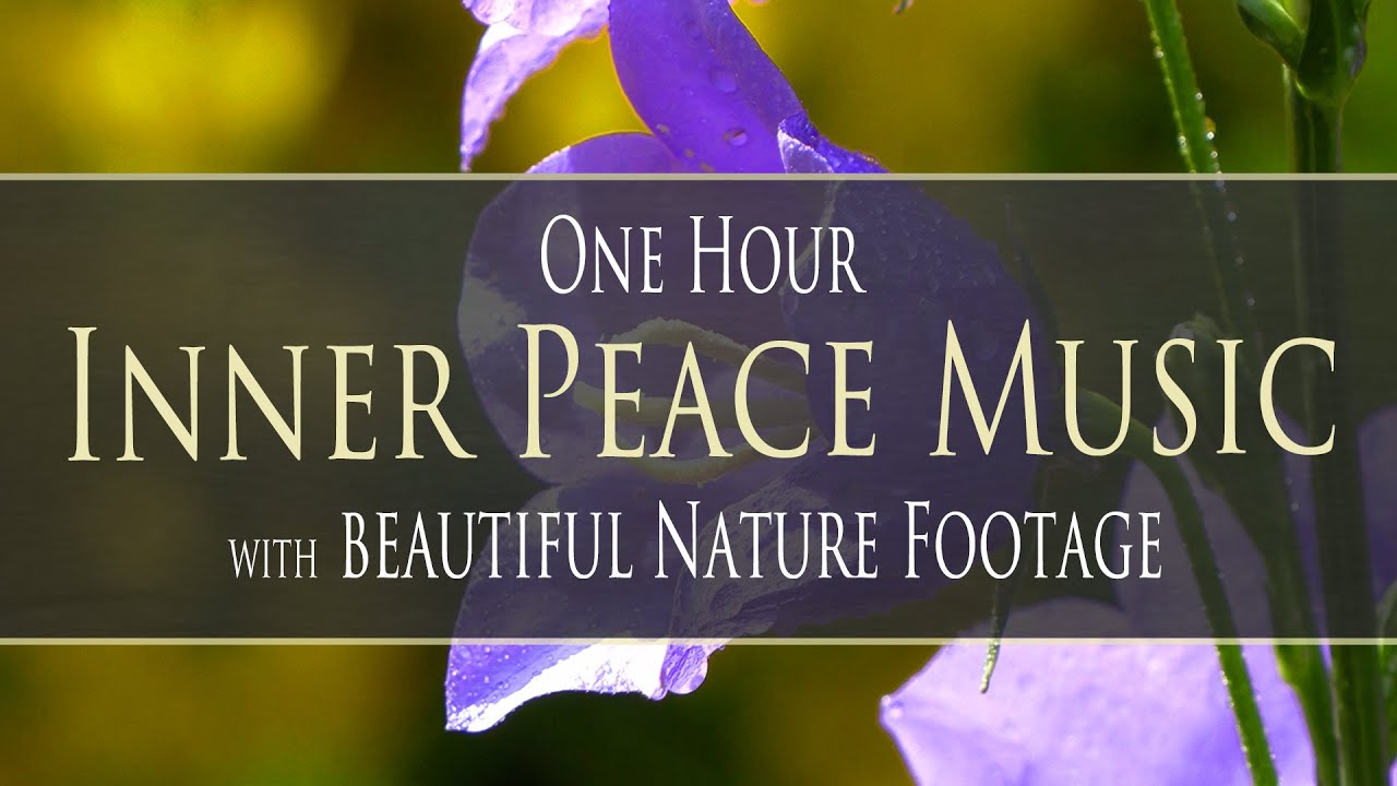 1 HR Inner Peace Music - with Beautiful Spring Nature Footage to Re ...