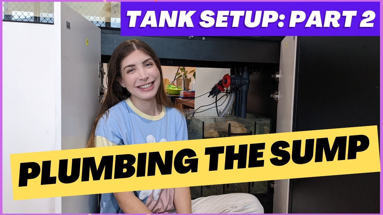 Setting up a freshwater sump - My New Waterbox Aquarium (Part 2) - YouTube