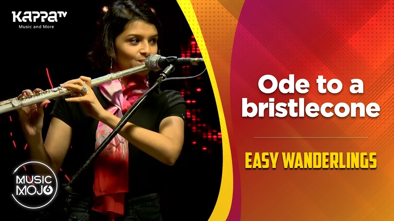 Ode to a bristlecone - Easy Wanderlings - Music Mojo Season 6 - Kappa ...