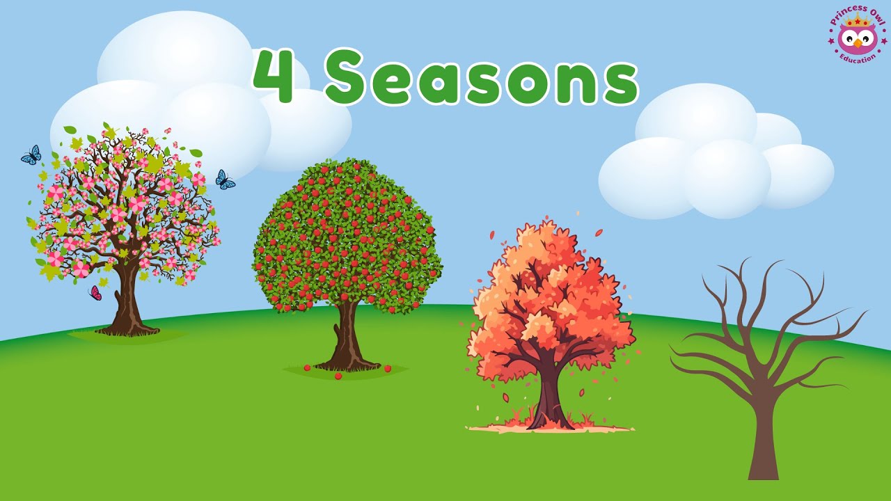 4 Seasons for Kids / Exploring the Four Seasons - YouTube