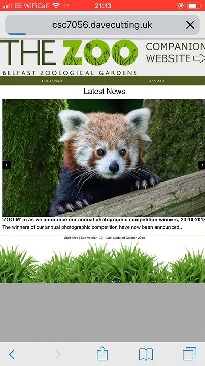 Case Sensitivity Demo - YouTube