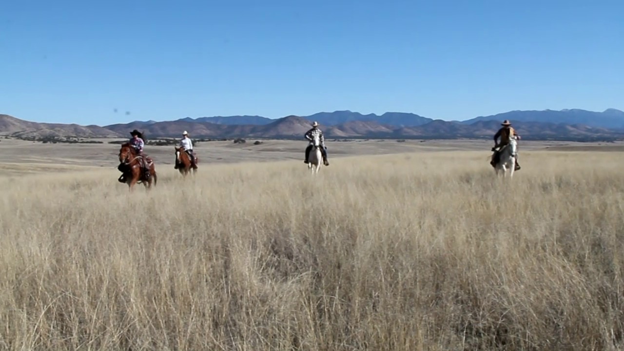 Horseback riding at the Circle Z Ranch - YouTube
