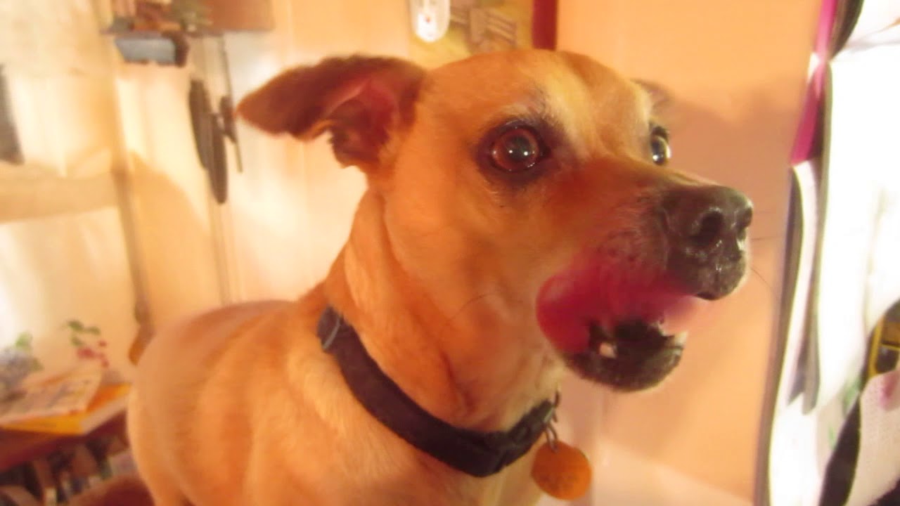 Barney Saying Ice Cream for the first time. - YouTube