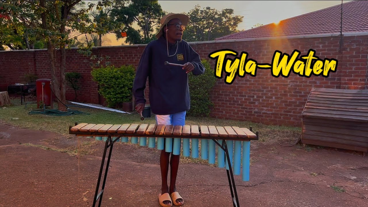 Tyla - Water Marimba cover #365days of Marimba day 284 - YouTube