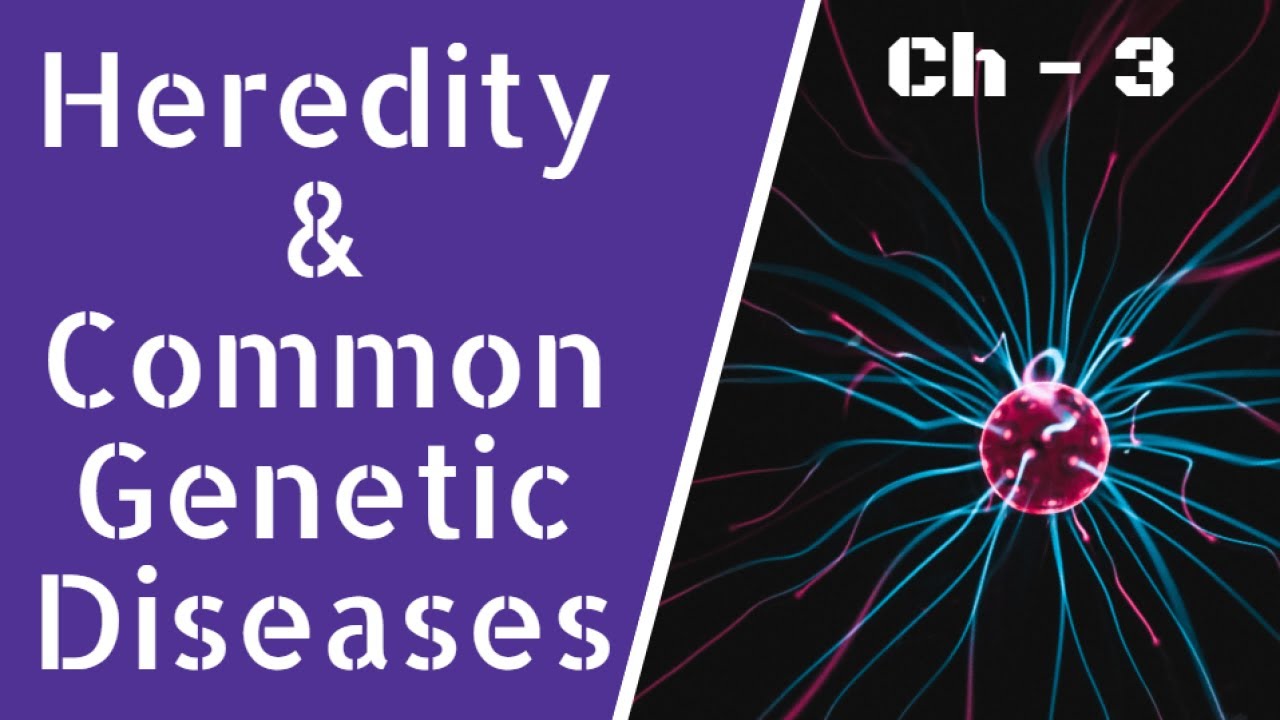 Heredity & Common Genetic Diseases (Part - 3) - YouTube