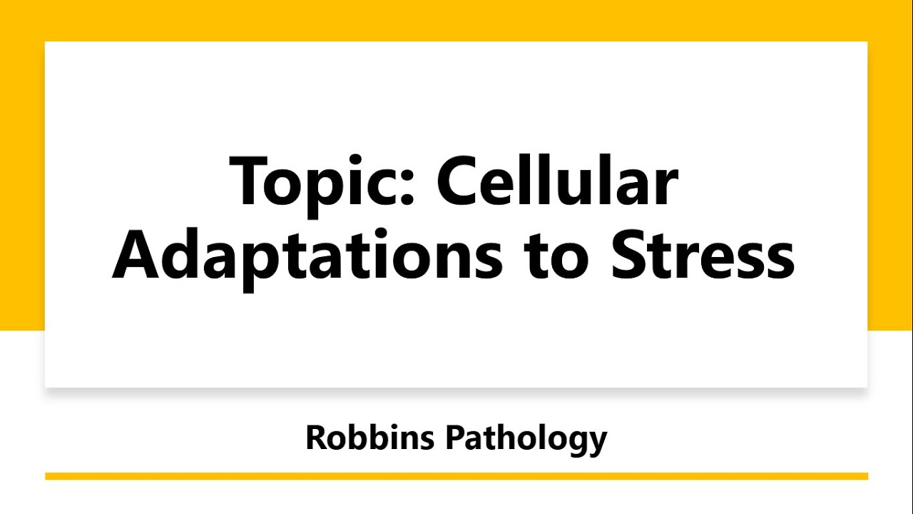 Cellular Adaptations to Stress | Robbins Pathology | AHS - YouTube