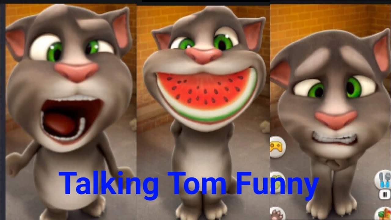 Talking Tom Funny 🤪🤤 | Talking Tom Fun 🐈🙀🍉 | Talking Tom Funny 😜😸🔥🍉🌶️ ...