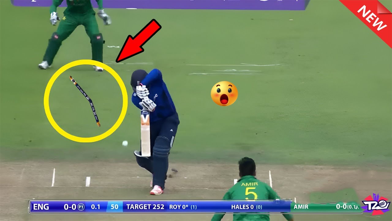 Top 10 Best Wicket Broken Deliveries in Cricket History Ever - YouTube