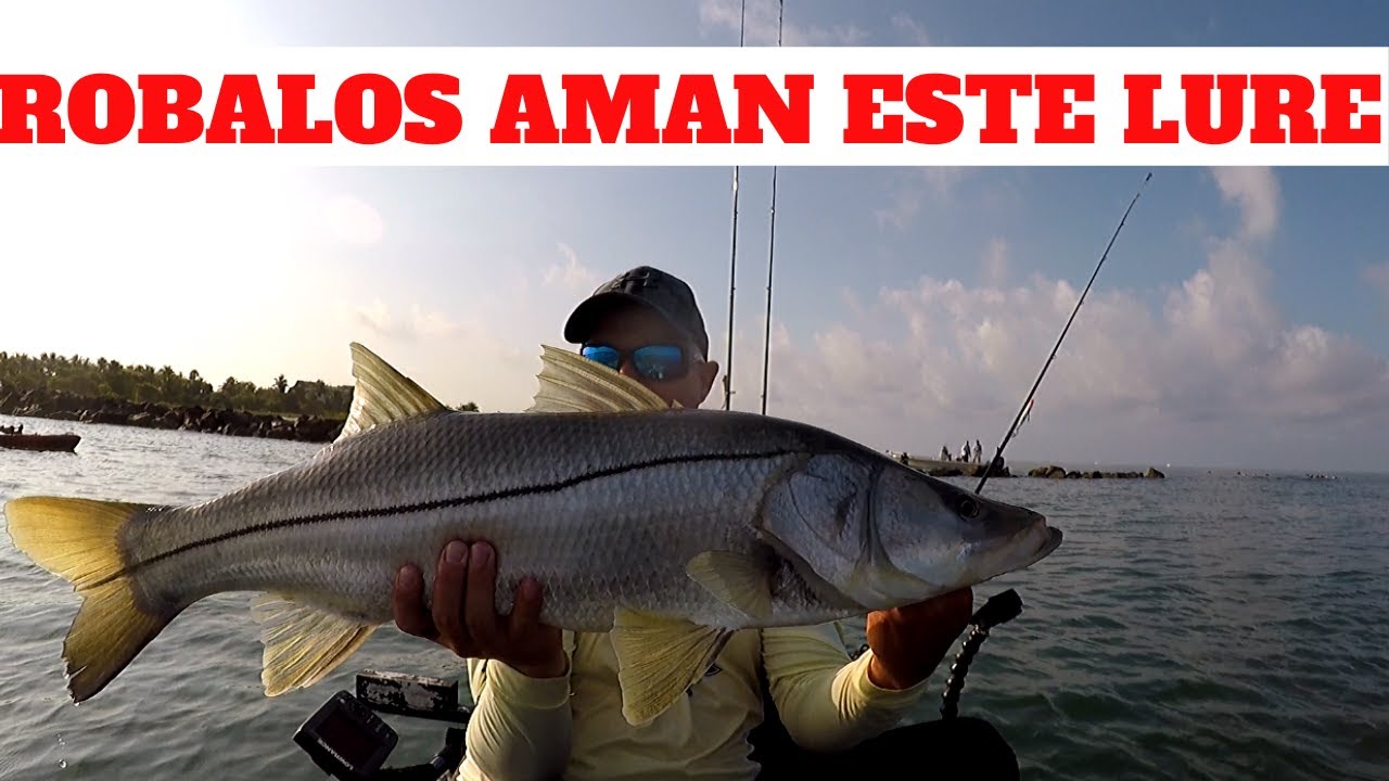 PESCA DE ROBALOS CON ARTIFICIAL, KAYAK SALVA A BOTE A LA DERIBA! - YouTube