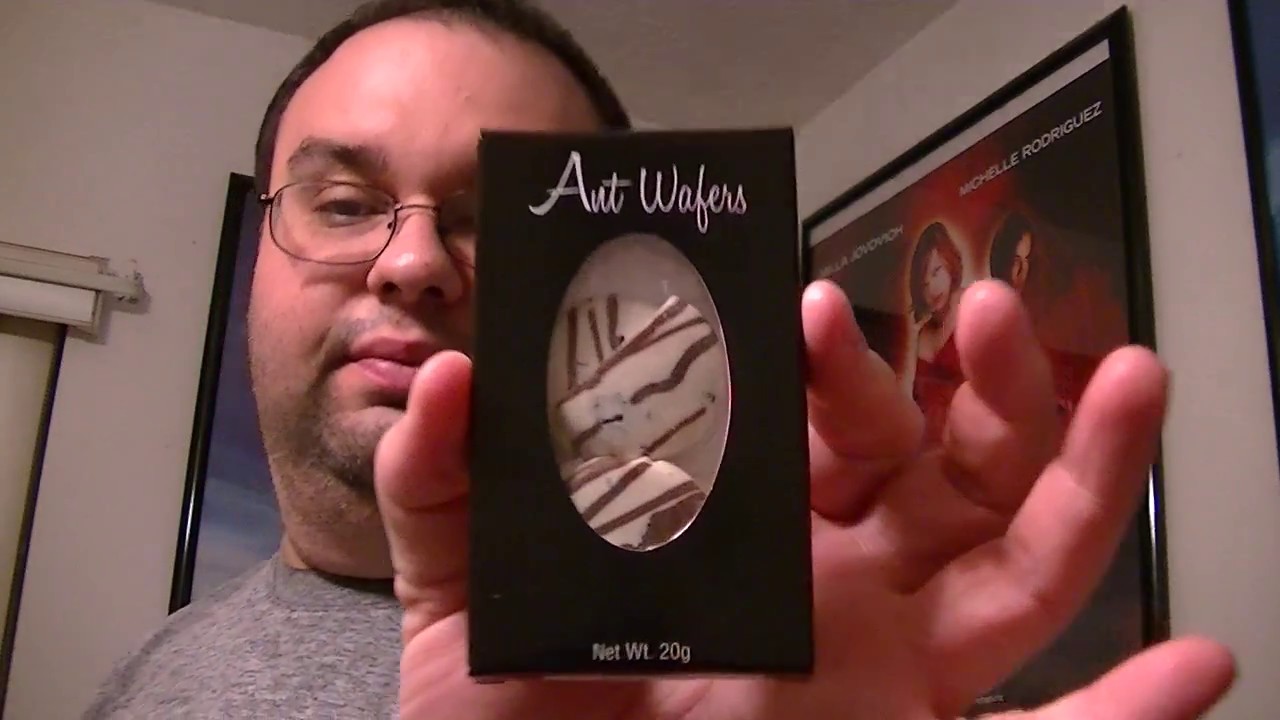 Edible Bugs #2 Hotlix Ant Wafers Food Review - YouTube