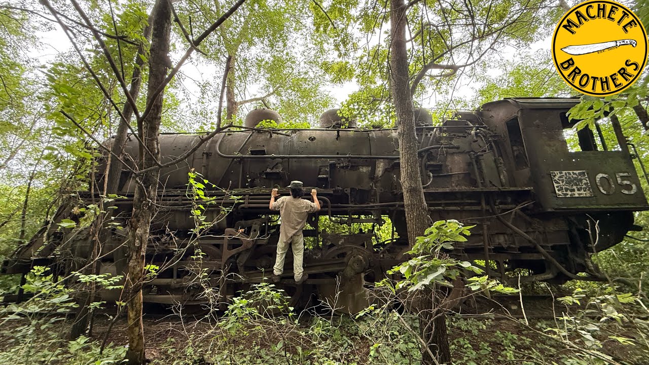 FINDING AN ABANDONED TRAIN IN THE MIDDLE OF THE FOREST!!! - YouTube