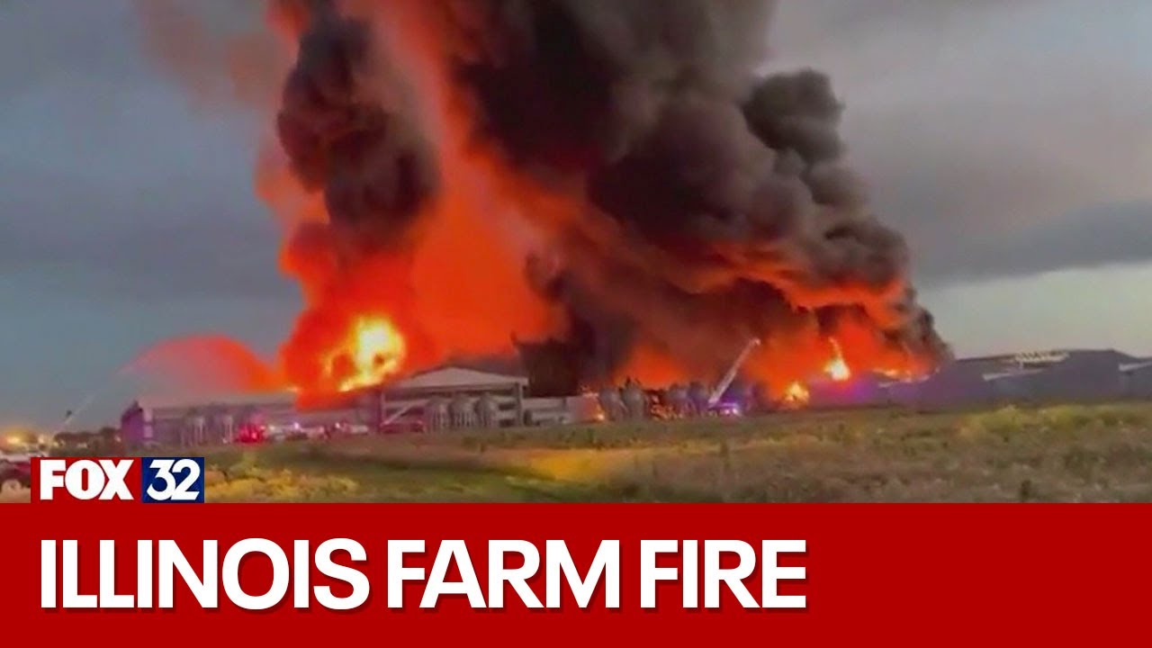 Massive fire at Illinois farm kills millions of chickens - YouTube