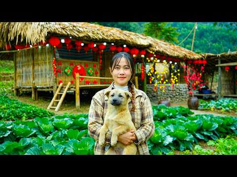 180-Day Journey of a Single Mother Harvesting and Building a New Life with Her Child | New Future