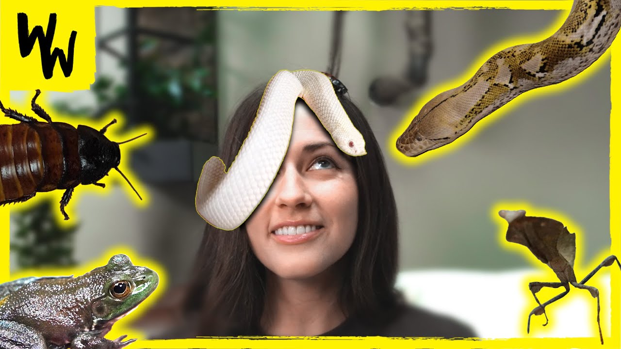 All of our PETS in ONE video | 2023 - YouTube