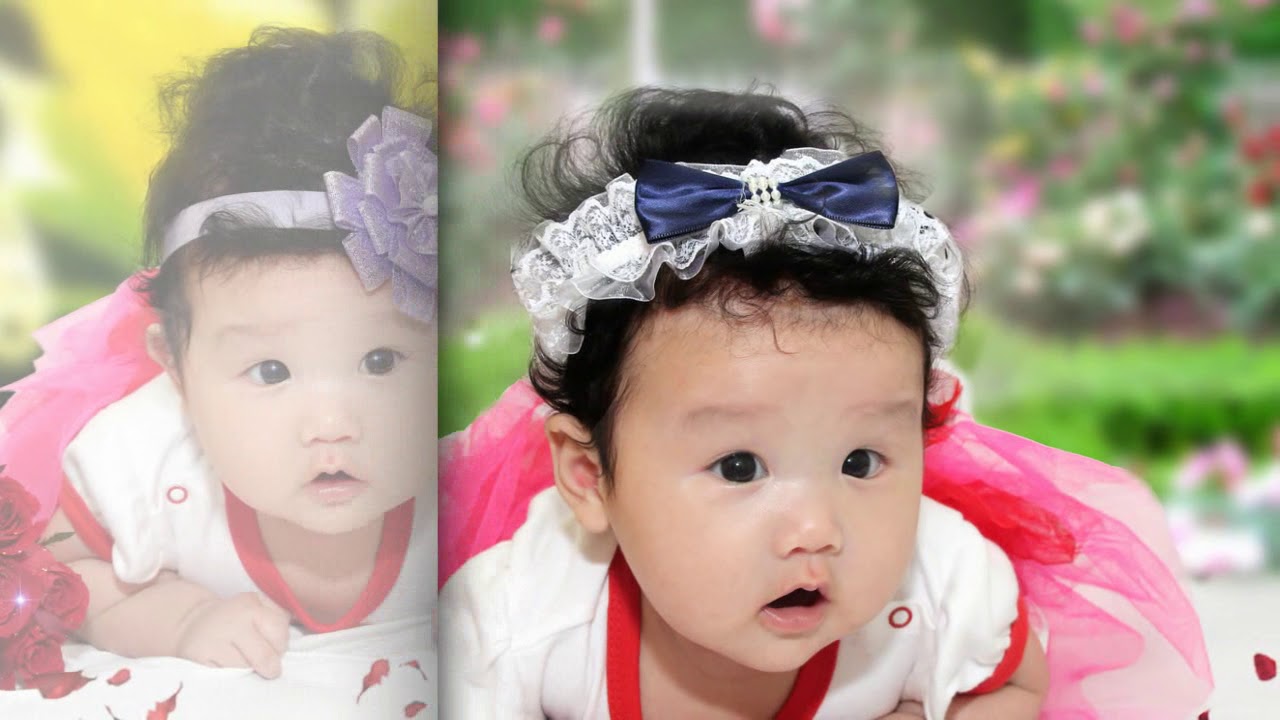 con heo dat - YouTube