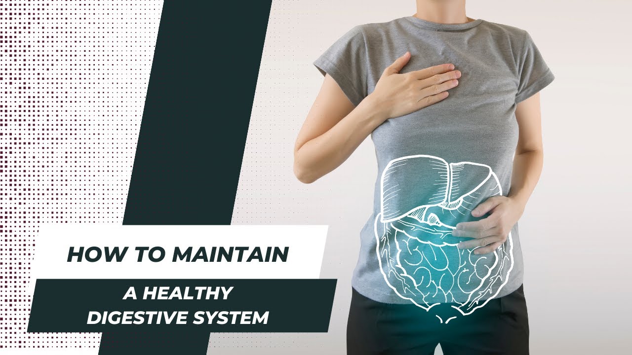 How to Maintain a Healty Digestive System? - YouTube