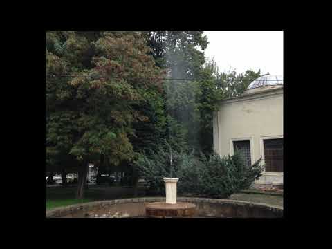 Elçin Bulut - Manastır Türküsü