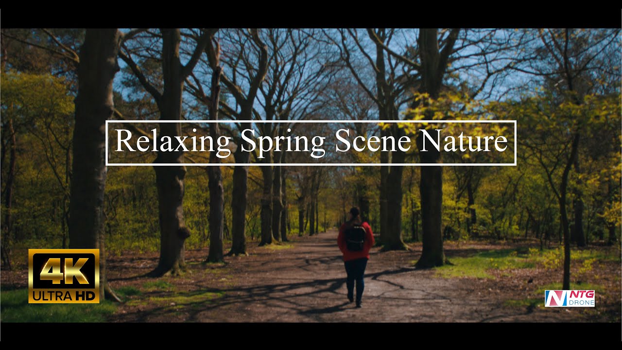 relaxing Nature Scene in Early Spring (Canon EOS M RAW 4K 12bit ...