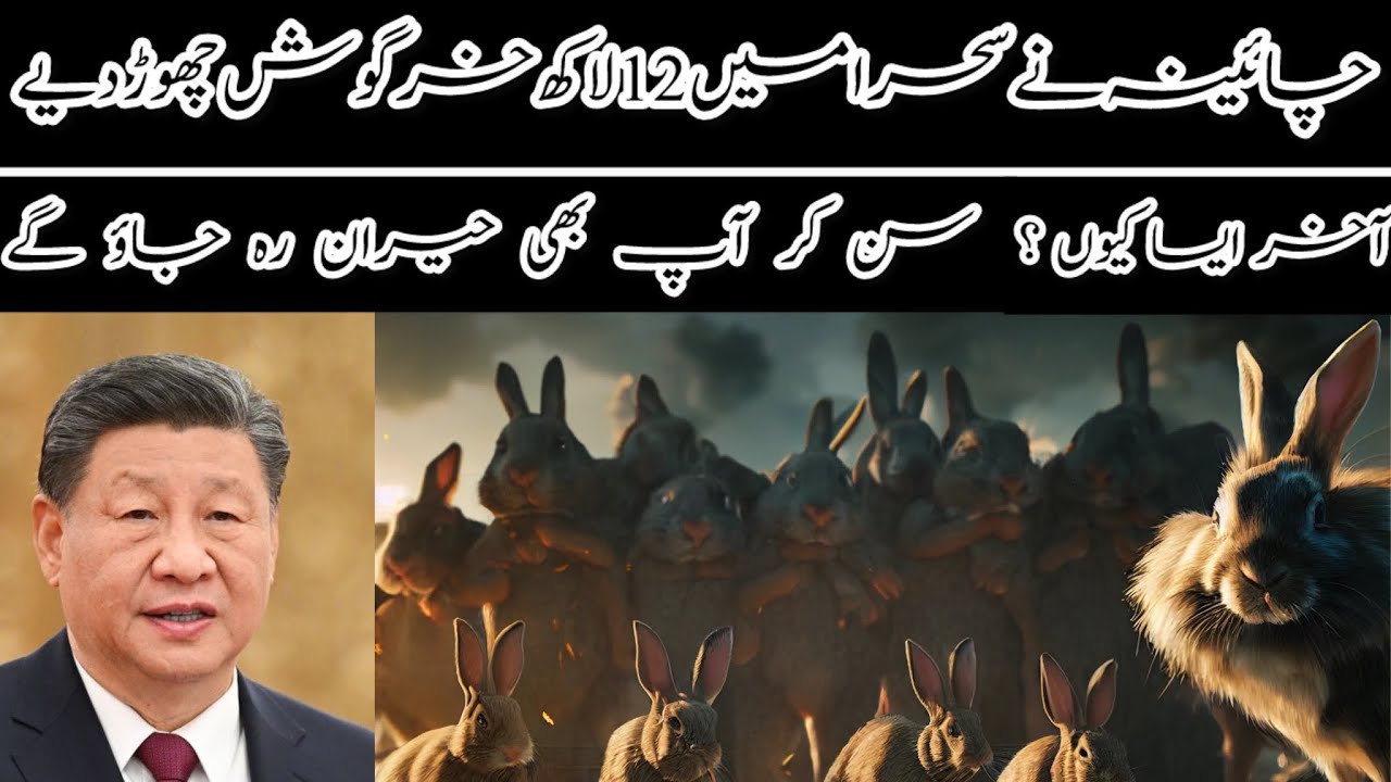 1.2 Million Rabbits in Goobi Desert by China || Kharal Speaks - YouTube