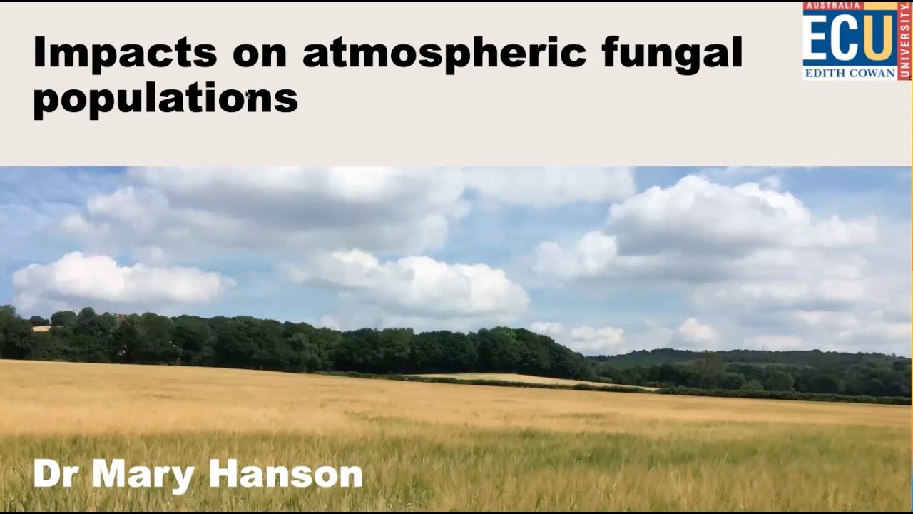 AMS October 2023 Virtual Seminar Dr Mary Hanson - YouTube