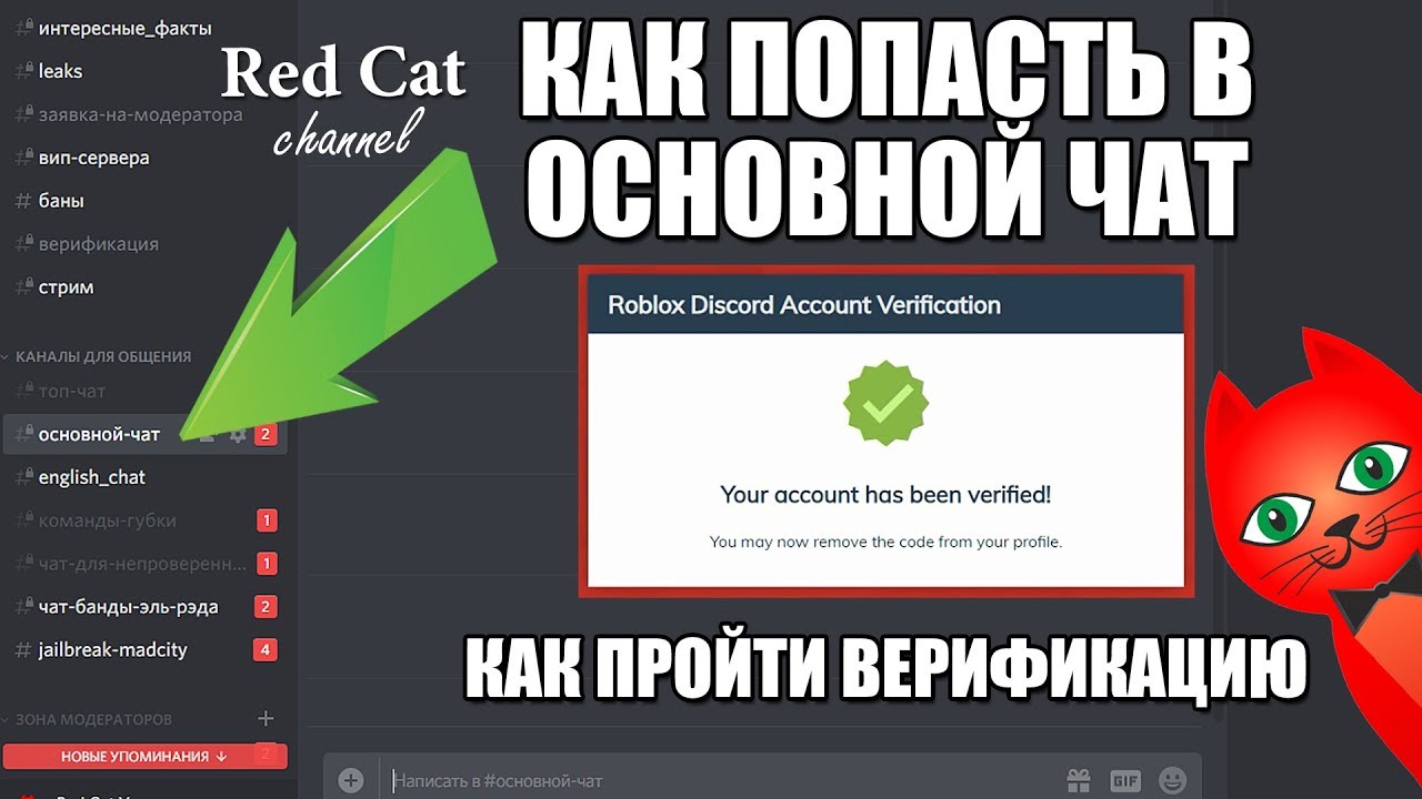 КАК ПИСАТЬ В ЧАТЕ ДИСКОРДА Discord Verify Инструкция как пройти