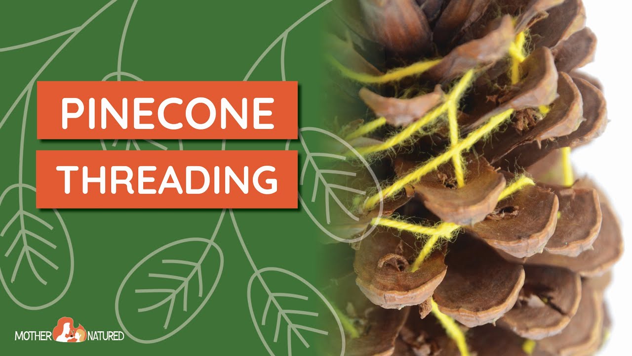 Pinecone Threading for Kids - YouTube