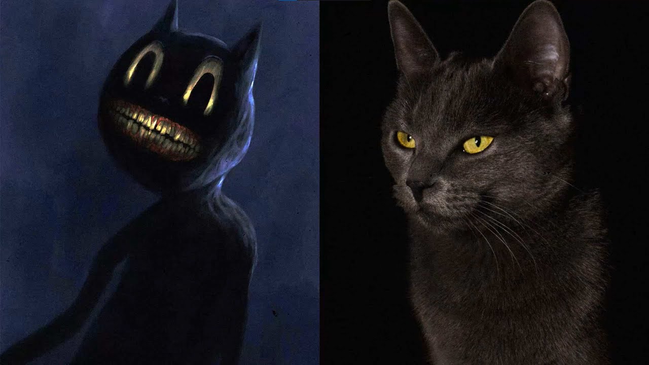 Cartoon Cat and Cartoon Dog in Real Life - YouTube